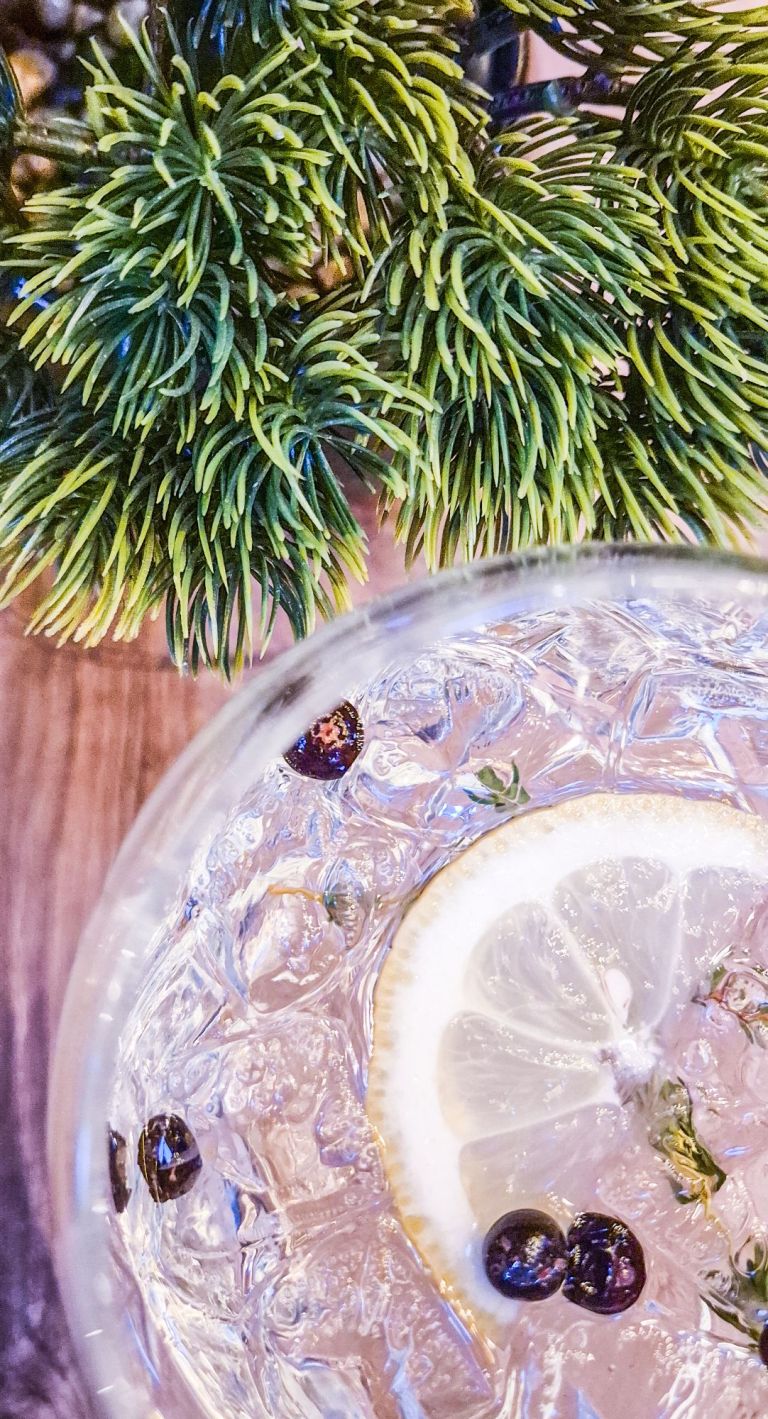 Day 121: Conference with a Drop of Gin – Blue Moment
